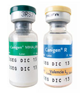 CANIGEN SEXTUPLE / VIRBAC COLOMBIA LTDA | Vademecum Veterinario > Soy ...