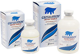 CEFQUIRON INYECTABLE / KYROVET LABORATORIES S. A. | Vademecum ...